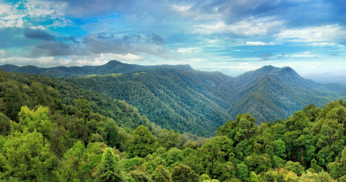 Biodiversity in 2023 and beyond: what should Australian businesses ...